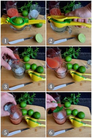 Refreshing Guava Lime Cocktail - Analida's Ethnic Spoon