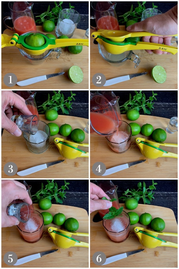 Refreshing Guava Lime Cocktail - Analida's Ethnic Spoon