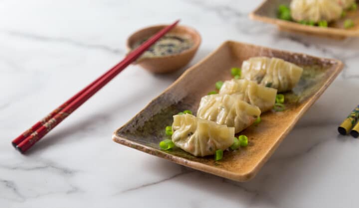 Thai Style Chicken Pot Stickers - Analida's Ethnic Spoon